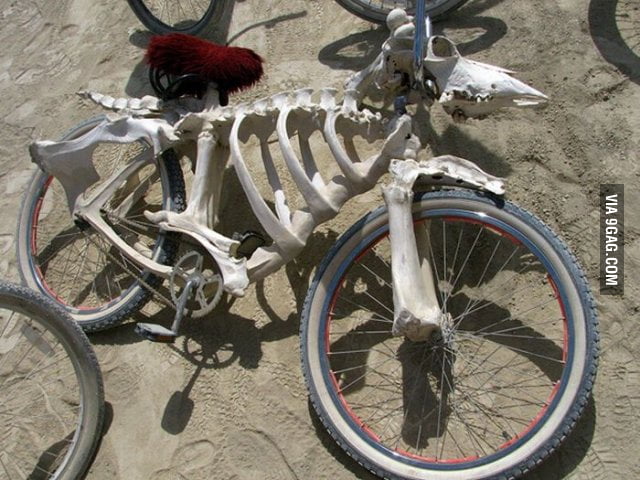 Skull Bike - 9GAG