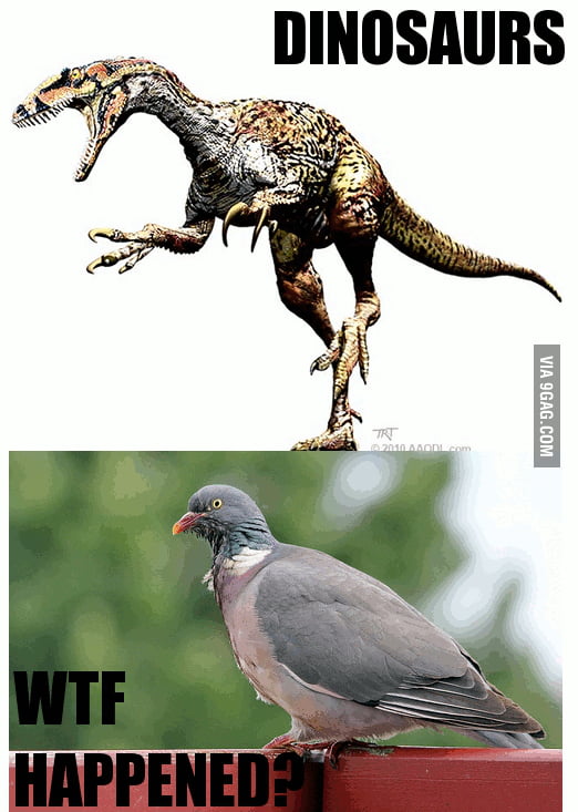 Lame-o-saurus - 9GAG