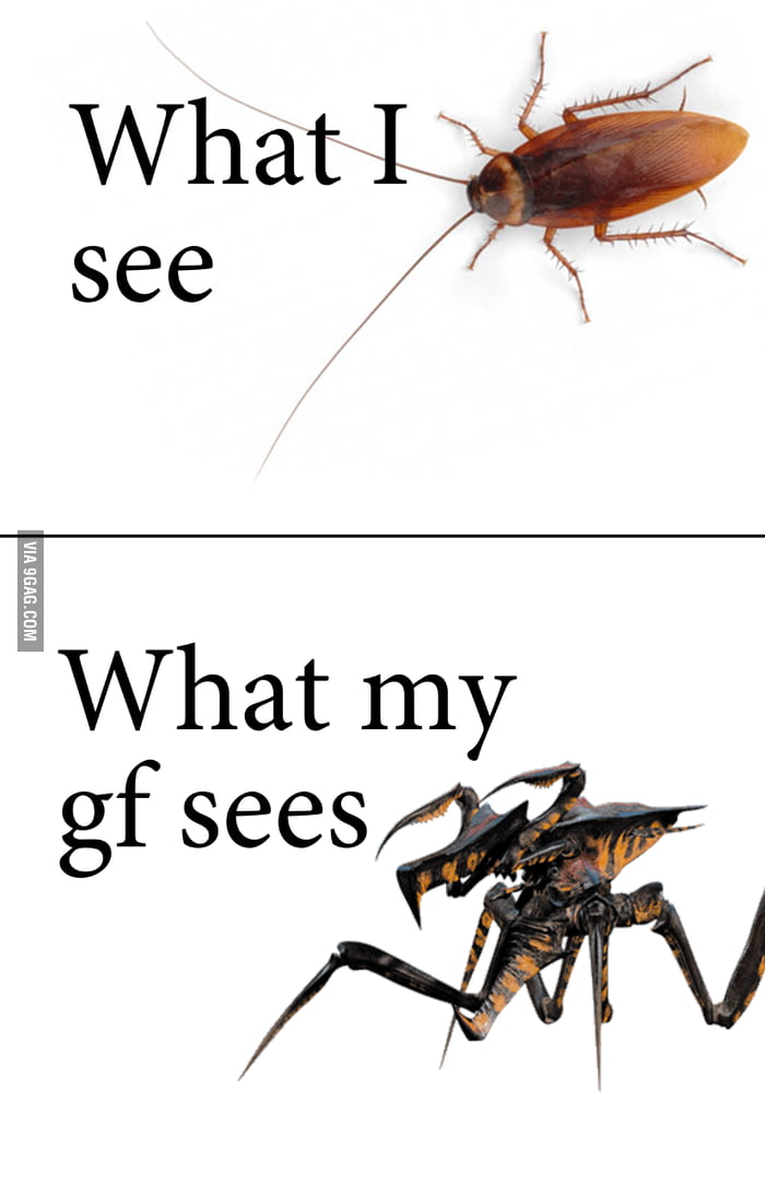 Feel like Johnny Rico - 9GAG