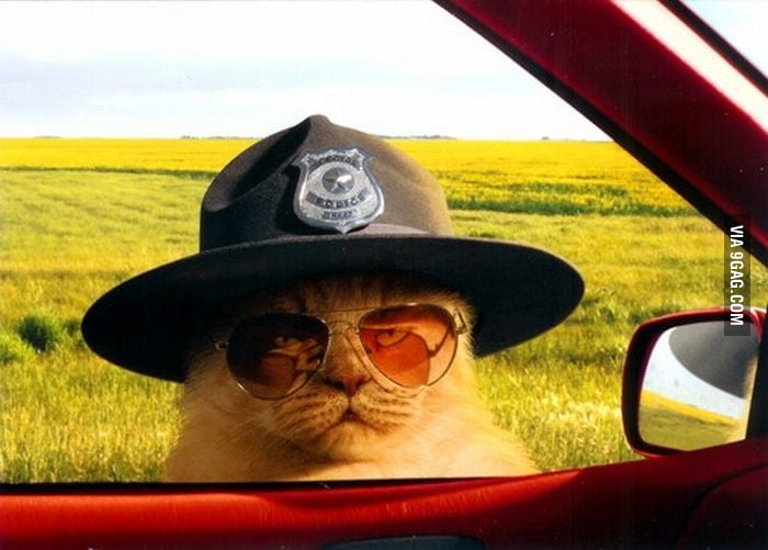 What's the problem officer? - 9GAG