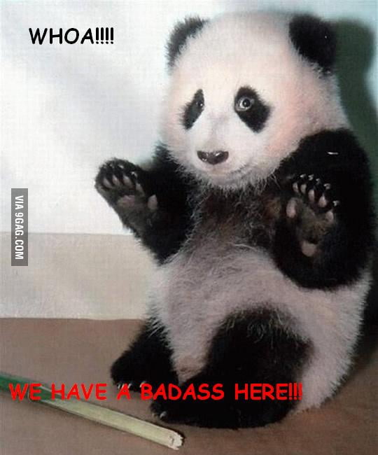 Panda meme (?) - 9GAG