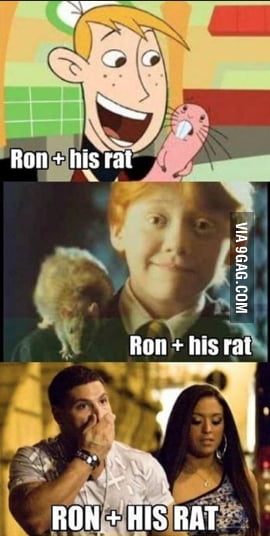 Ron and his rat - 9GAG