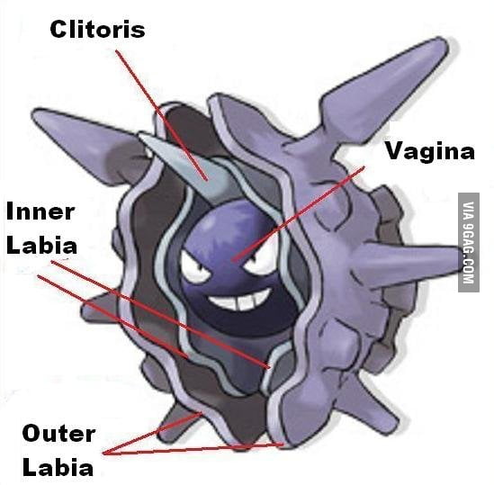 Pokemon Anatomy - 9GAG