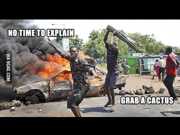 Just Grab a Cactus! - 9GAG