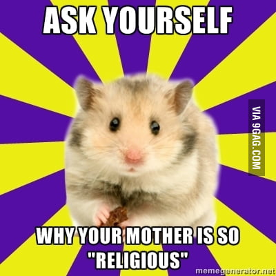 Le awkward hamster - 9GAG