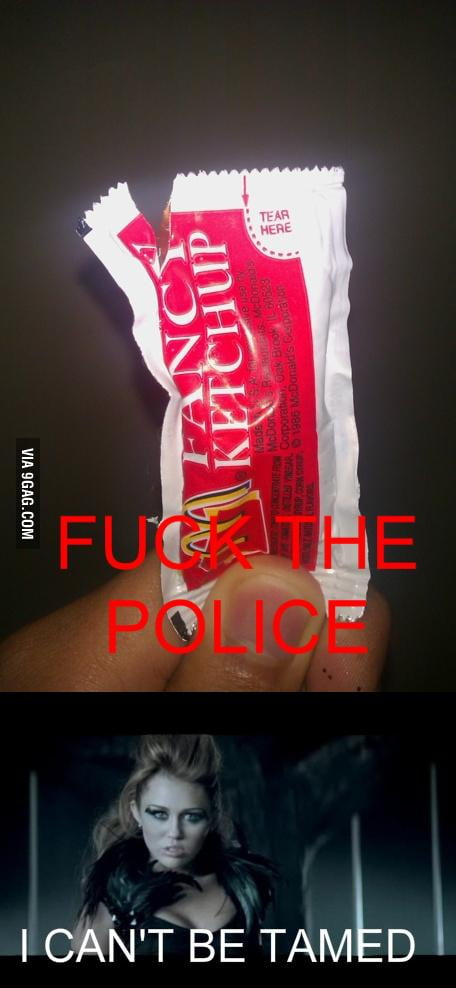 You reckless pig - 9GAG