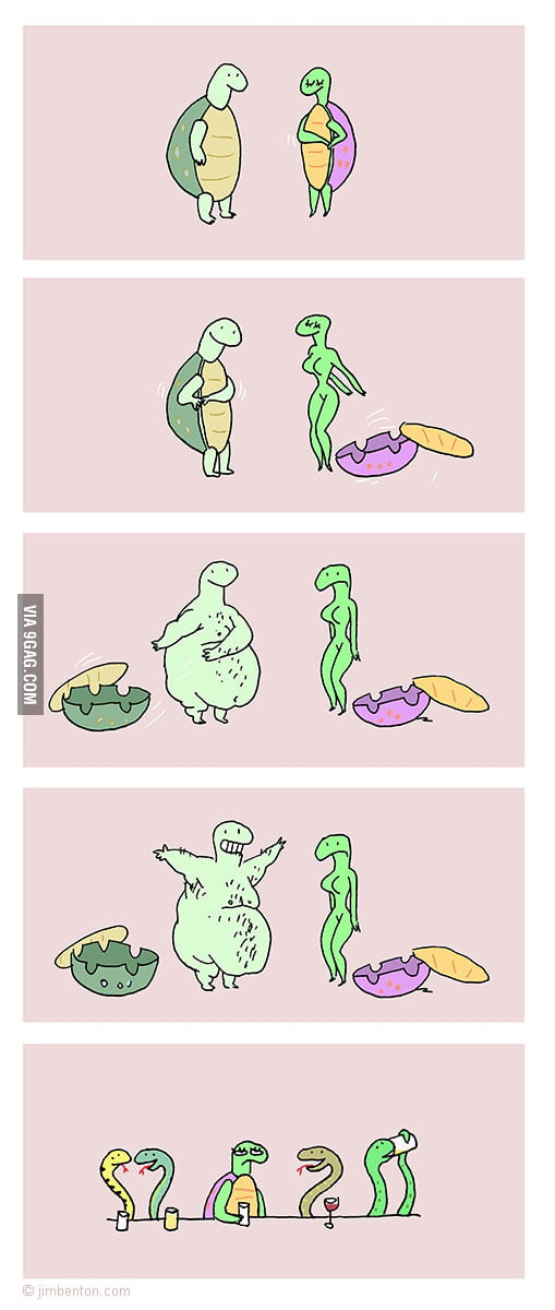 Every turtle time! - 9GAG