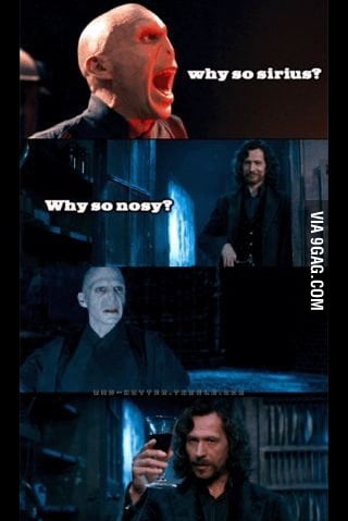 Why so Sirius :D? - 9GAG