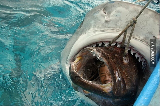 Fishception enhanced - 9GAG