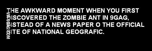 9gag is my window to knowledge. - 9GAG