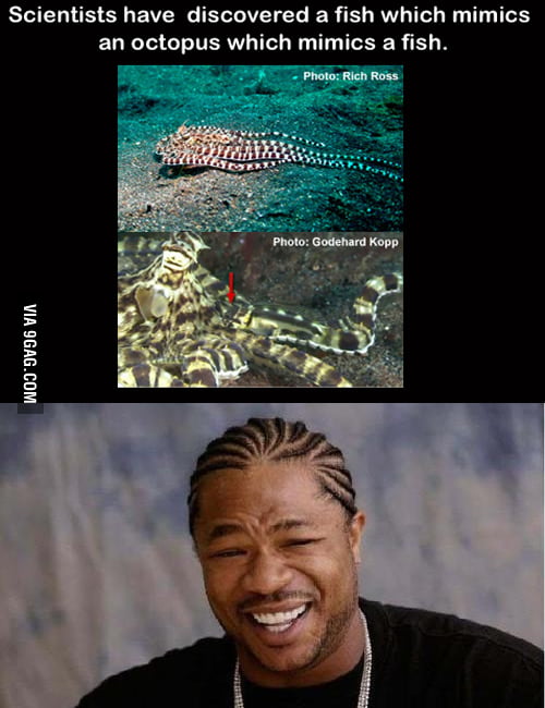 Fishception - 9GAG