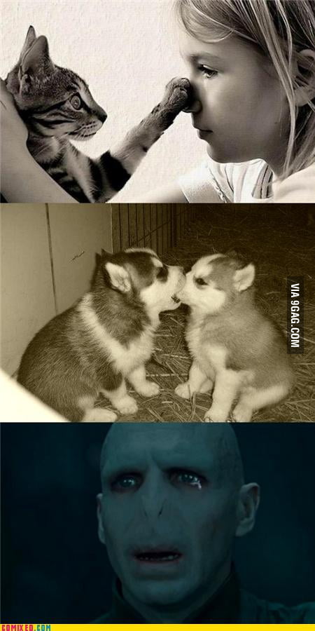 Sad voldemort is kinda cute - 9GAG