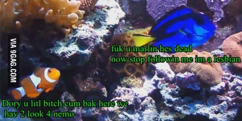 Finding nemo - 9GAG