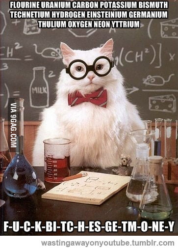 Gangsta Chemistry Cat - 9GAG