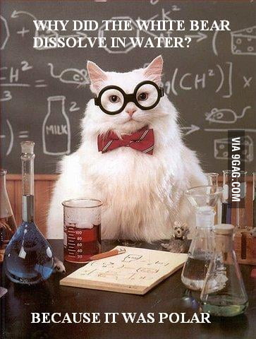 Science cat explains - 9GAG