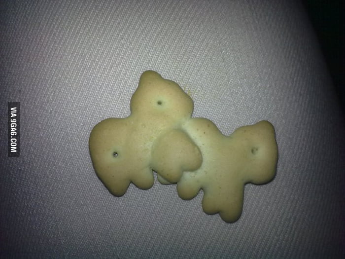 Epic Animal Cracker - 9GAG