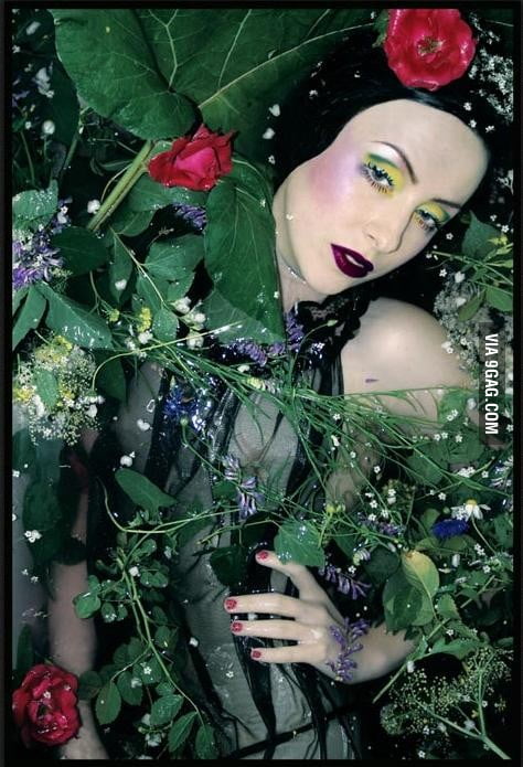 Snow White 9gag 0864