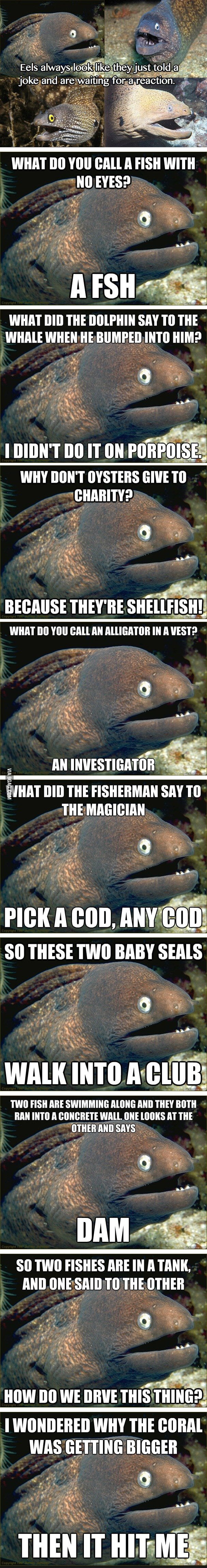Comedian Eel - 9GAG