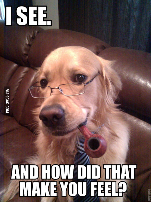 Wise dog is wise. - 9GAG