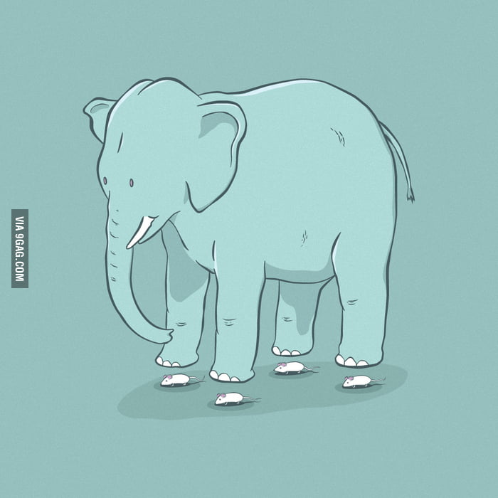 The myth-powered levitating elephant - 9GAG