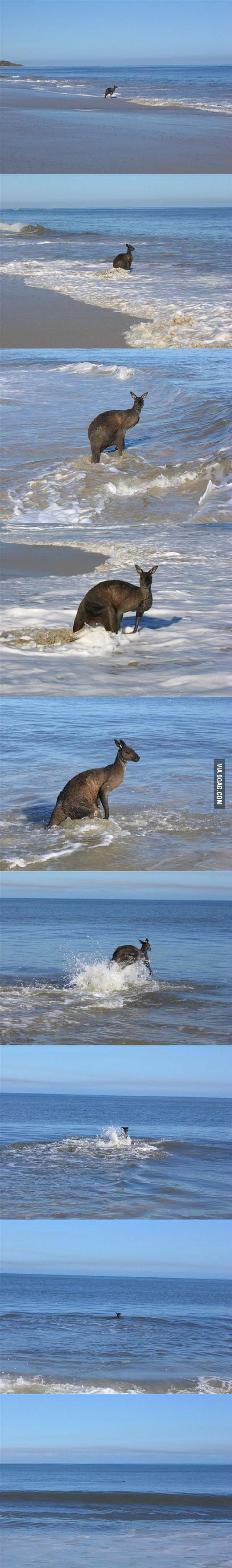 Goodbye Kangaroo - 9GAG