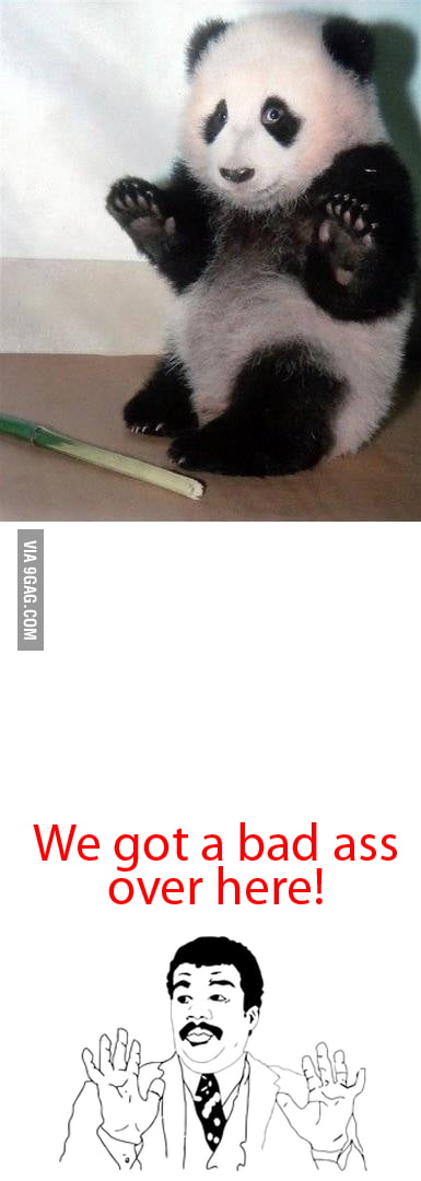 Bad Ass Panda - 9GAG