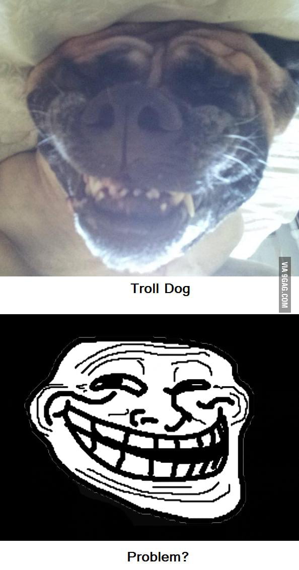 Troll dog - 9GAG