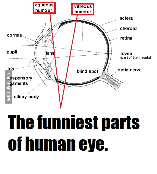 Funny eyes - 9GAG
