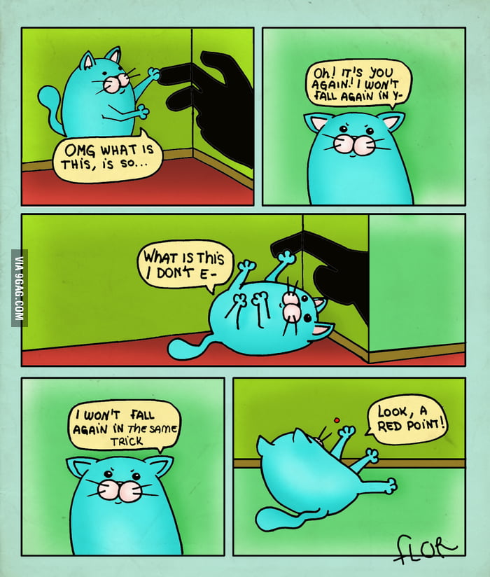 Disguised cats - 9GAG