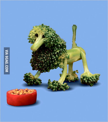 Broccoli Dog - 9GAG
