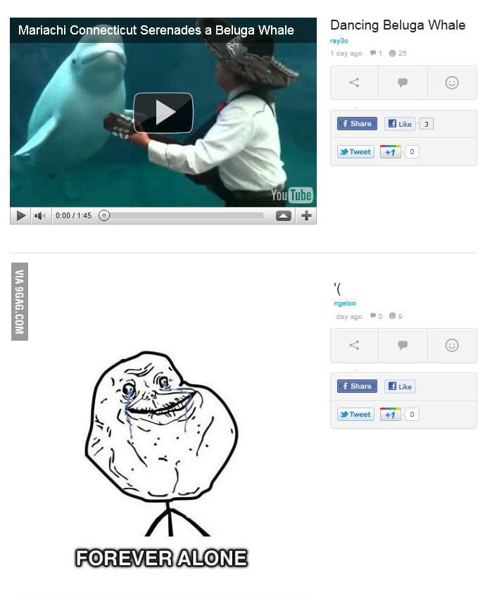 Forever alone? Try bestiality... [Nice timing 9GAG post] - 9GAG