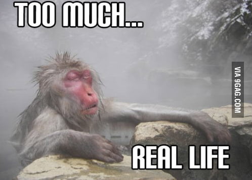 Too much real life! - 9GAG