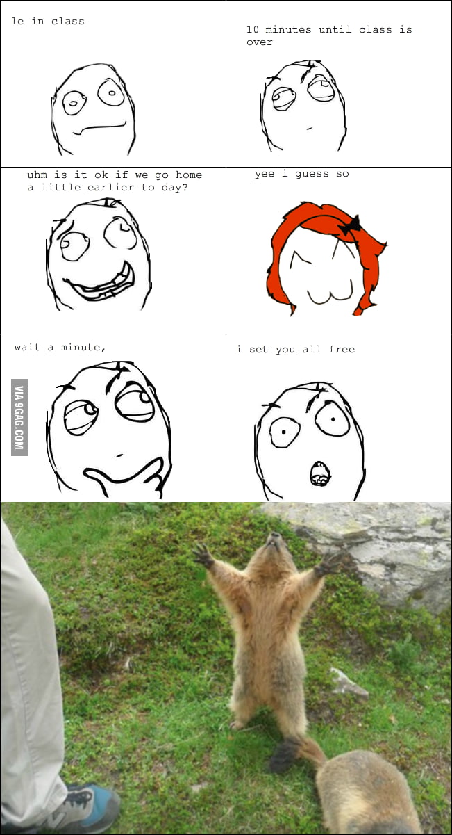 HALLELUJAH squirell - 9GAG