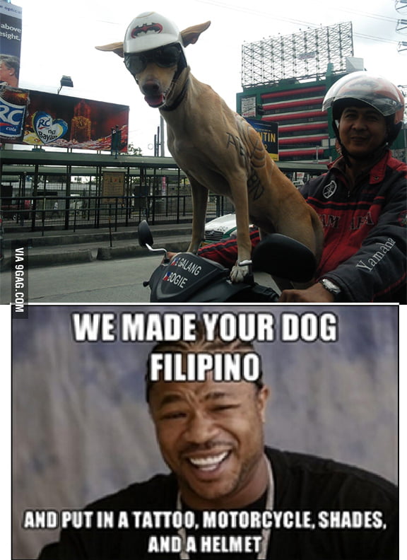 Just another dog in the Philippines ver. 2.0 - 9GAG