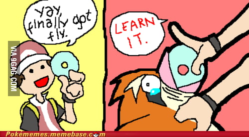 Pidgey learning FLY - 9GAG