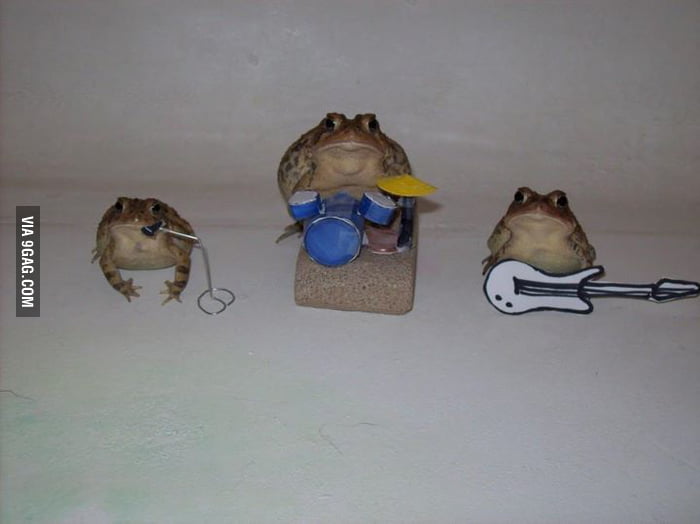 Just a frog band... - 9GAG