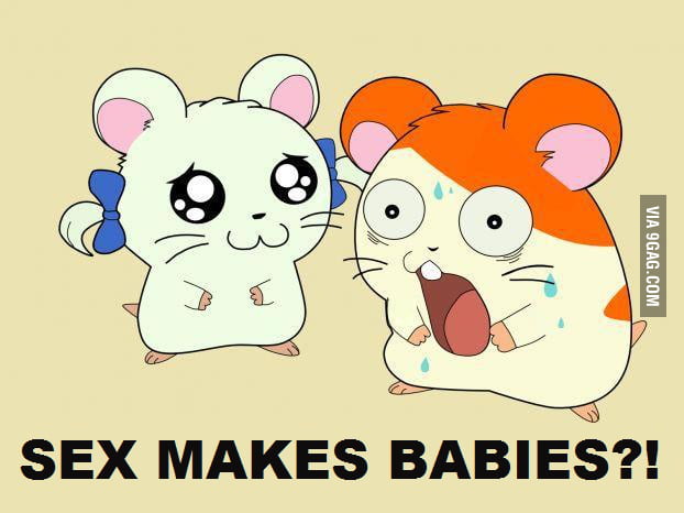 Shocked Hamtaro is shocked - 9GAG