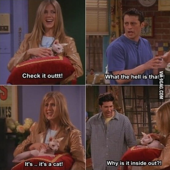 Ross is awesome - 9GAG
