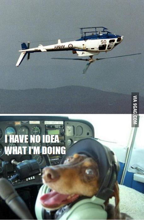 Helicopter Dog - 9GAG