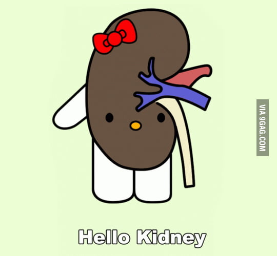 Hello Kidney - 9GAG