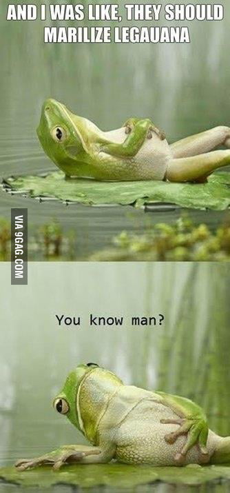 Marilize leguana - 9GAG