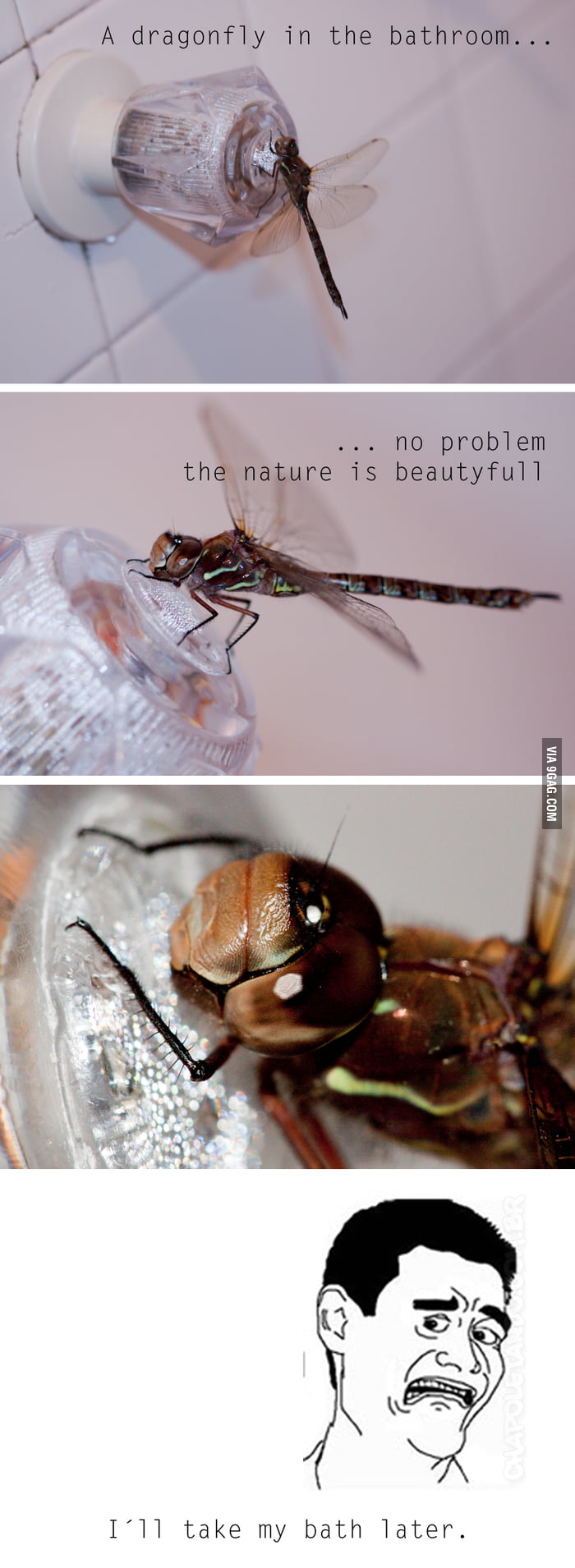 I´ll take my bath later... - 9GAG