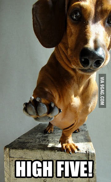High five, dude! - 9GAG