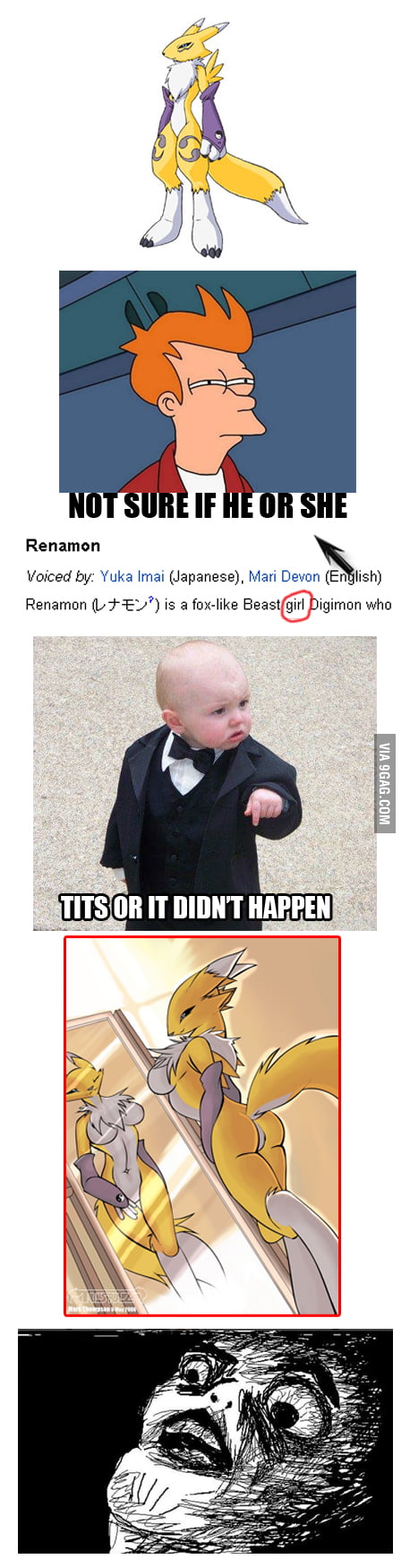 Just Renamon - 9GAG