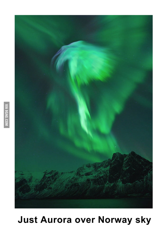 Just aurora....... wait, what???? - 9GAG
