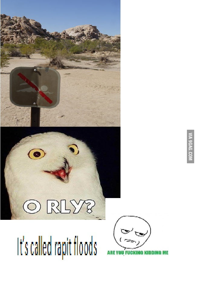 Because "you don't say" meme is too mainstream.. [Fixed] - 9GAG