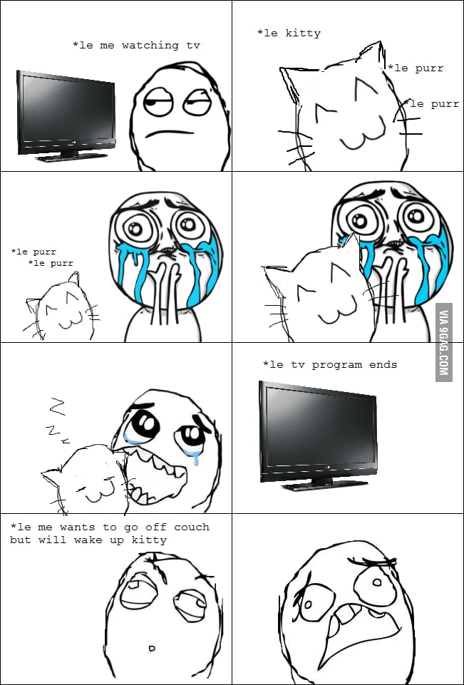 First world cat owner problems - 9GAG
