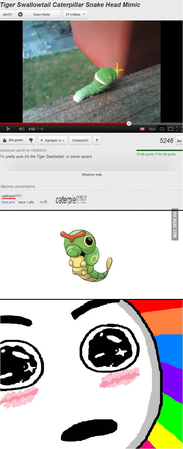 A wild Caterpie appeared! - 9GAG