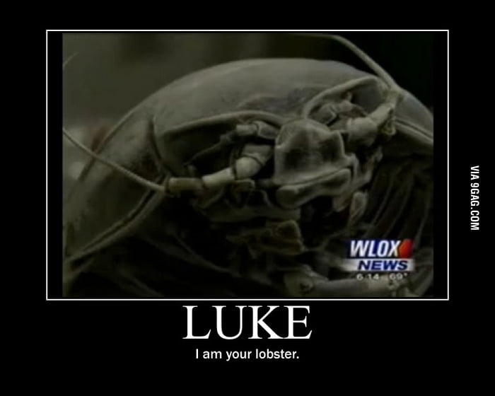 Darth Vader Isopod - Real Crustacean from Ocean Depths - 9GAG