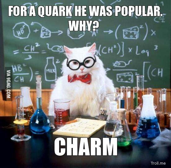Chemistry cat goes physics... - 9GAG